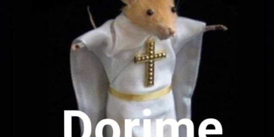 Grupo de WhatsApp Dorime