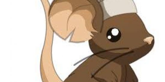 Grupo de WhatsApp Transformice