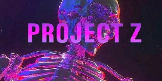 Grupo de WhatsApp 𝐏𝐑𝐎𝐉𝐄𝐂𝐓 𝐙 𖤐