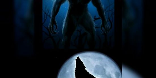 Grupo de WhatsApp Lobisomem/Lobo.🐺🌕