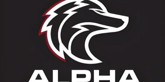 Grupo de WhatsApp Alpha Team