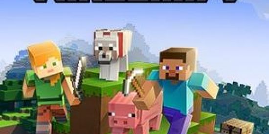 Grupo de WhatsApp Servidor minecraft 1.19.11