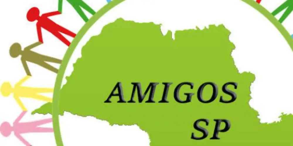 Grupo de WhatsApp *AMIGOS SP* 011 019